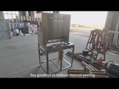 Volledige modellen van fruit schillen machines voor optimale schillen resultaten
