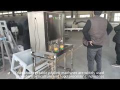 Kleine, eenkopige, commerciële pompoenschilmachine voor het bureau