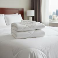 China Polyester Fill Material Solid Microfiber Comforter Machine Washable Lightweight Durable Bedding for Hotels and Hospitality for sale