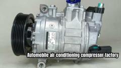 Auto Ac Conditioning Compressor For VW OEM 1K0820859S Compressor