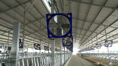 Cina Processo di stampaggio a un pezzo Terrui Ventilatore per bestiame Disegno personalizzato Risparmio energetico e lunga durata in vendita