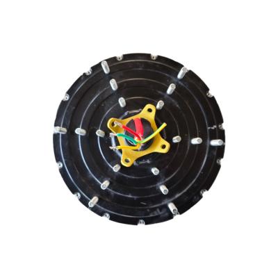 Cina Motore industriale sincrono senza spazzola di Bldc di alto potere del soffitto del motore PMSM della CE di CC in vendita