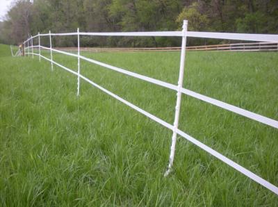 China Durable Waterproof Plastic Electric Fence Posts with Multi-Slot Design and UV-Stabilized Material for sale