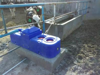 China Plastic Thermo Four Hole Drinking Trough 1.5m For Sheep for sale