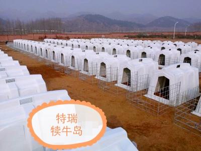 China 67.5kg 8mm Hot Dip Galvanised Steel Dairy Calf Hutches for sale