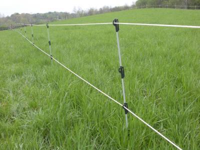 Cina Recinto ovale stabilizzato UV di giardinaggio Posts Easily Assembled della vetroresina in vendita