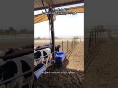 LLDPE Livestock Auto Waterer with 3 Sets Of 220V300W Heating Discs for Cattle