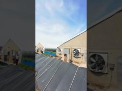 IP55 Protection Level Fire Smoke Exhaust Fan 1.8A for Smoke Ventilation