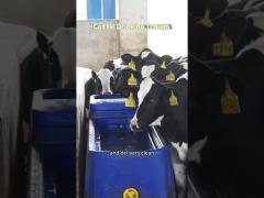 120L/min Flow Rate Resistant Polyethylene Cow Drinking Water Trough