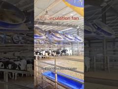 345RPM Rotation Speed Industrial Fan with Powerful 2000w/2.7hp Motor