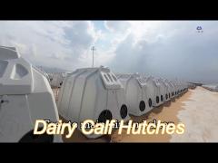 ventilated calf hutch for ensuring optimal airflow and comfort for young calves