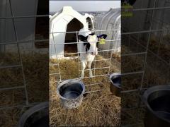 white polyethylene rectangle calf shelter insulated weatherproof hutch