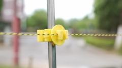 Professional Electric Fence Kit: Secure Your Livestock in Minutes