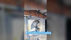 High-Velocity Ventilation: Terrui Industrial Exhaust Fans in Action