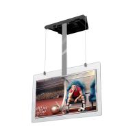 China Ceiling Mounted 43