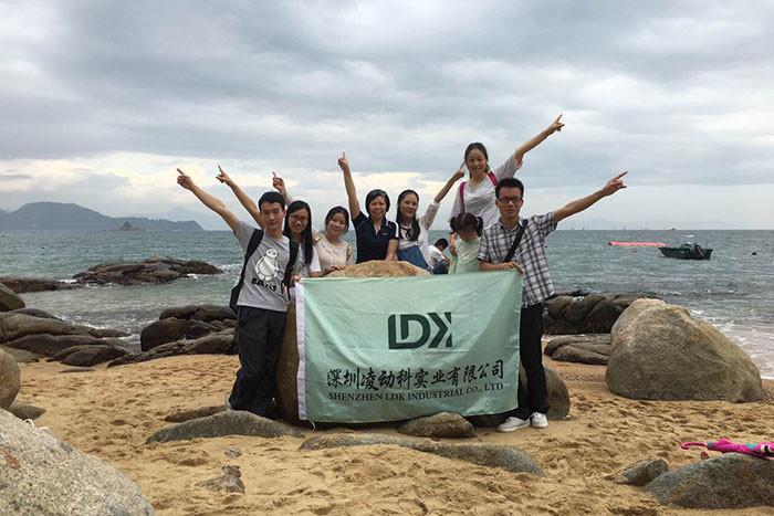 Fornitore cinese verificato - Shenzhen LDK Industrial Co., Ltd.