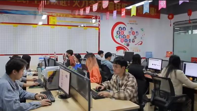 Fornitore cinese verificato - Shenzhen LDK Industrial Co., Ltd.