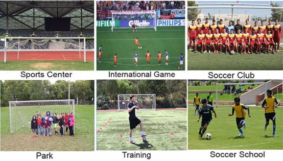 LDK turf in various sports applications