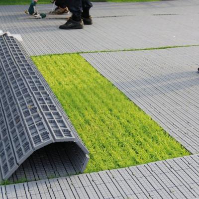 China Unique Design Plastic Interlocking Grass Protection Mat Floor Heavy Duty Ground Protection Flooring for sale