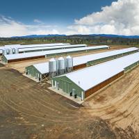 Quality Prefabricated Light Steel Structure Cow Pig Chicken Horse Goat Shed Barn Poultry for sale