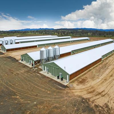 China Prefabricated Light Steel Structure Cow Pig Chicken Horse Goat Shed Barn Poultry Farm House for sale