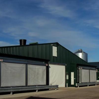 China Prefabricated Steel Structure Livestock Building Poultry Farm House Animal Husbandry Shed for sale