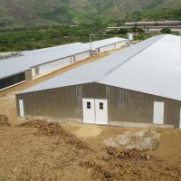China Automatic Poultry House Light Steel Structure Shed for Broilers 5000 Birds Capacity for sale
