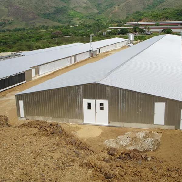 Quality Automatic Poultry House Light Steel Structure Poultry Shed Modern Chicken Farm for sale