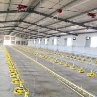 Quality Automatic Poultry House Light Steel Structure Poultry Shed Modern Chicken Farm for sale