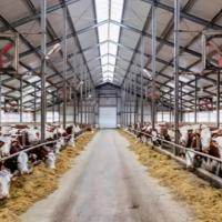 Quality Prefabricated Steel Structure Livestock Building Poultry Farm Barn Animal for sale