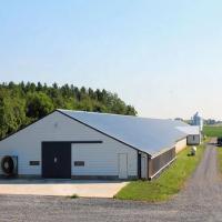 Quality Large Span Industrial Logistics Storage Over 5000 Sqm Steel Structure Warehouse for sale