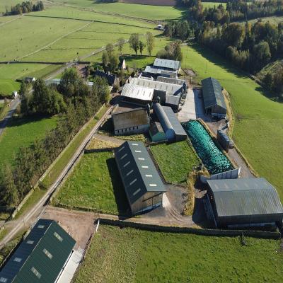 China Light Steel Farm Building Chicken Horse Cow Pig House Livestock Poultry Shed for sale