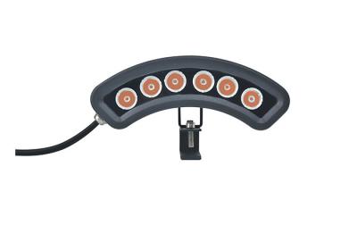 Cina le lampade fluorescenti decorative all'aperto/Natale di 24v LED hanno condotto la luce della corda delle luci leggiadramente/RGB in vendita