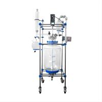China 300L Capacity Borosilicate Glass Reactor with High Visibility for Chemical Processes for sale
