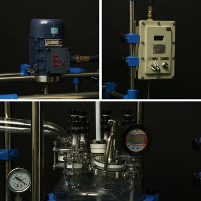 China De transparante van het het GlasReactorvat van Gaopeng Beklede Bewogen de Tankconstante roteert Snelheid Te koop