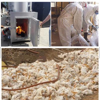 Cina Incineratore di rifiuti di pollame senza fumo con componenti per il nucleo del camino e capacità di 750 l/h in vendita