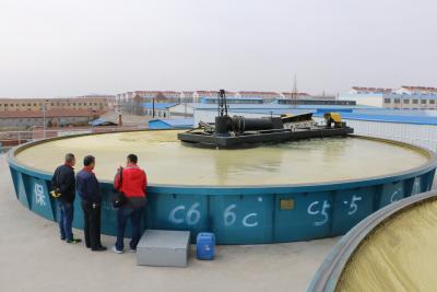 Cina Macchina di flottazione ad aria bassa per il trattamento e le prestazioni delle acque reflue da nickelplating in vendita