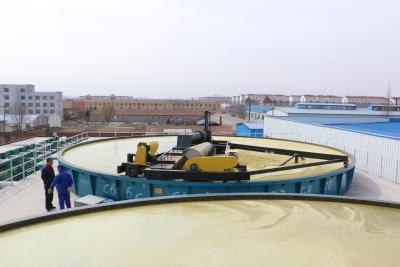 Cina Macchina di flottazione ad aria bassa per il trattamento e le prestazioni delle acque reflue da nickelplating in vendita