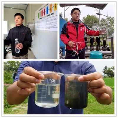 Cina Sistema di depurazione delle acque reflue per il trattamento del grasso oleoso a flottazione d'aria 1000L/ora in vendita