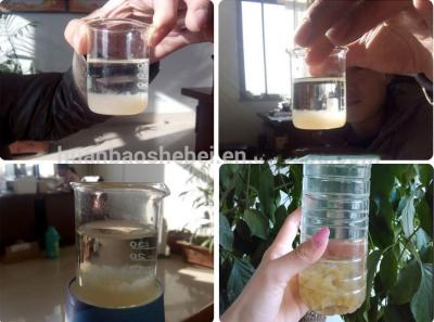 Cina Produttività 5000L/ora con macchina avanzata di flottazione dell'aria disciolta in vendita