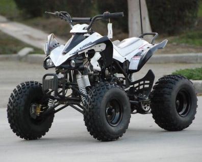 China Kawasaki ATV 125cc for Child drive Big tire for sale