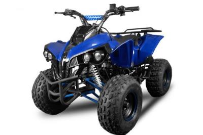 China BRP ATV 125CC CAN AM ATV with 8inch tire free shipping for sale
