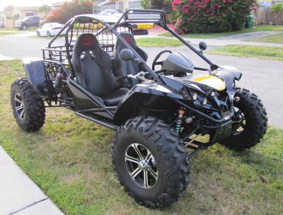 China Dune Buggy 1500cc Power 2/4WD Top Quality Free Freight Door to Door for sale