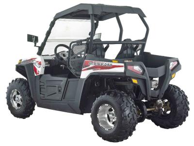 China Strike UTV 250CC full size EFI high quality sales  germany engine quality for sale