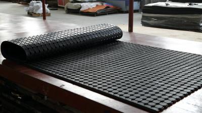 Cina Dell'OEM di servizio dell'antibatterico slittamento Mats With Holes For Bathroom di gomma non in vendita