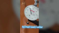 Luxury Microfiber Leather Pet and Kid Friendly Upholstery