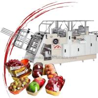 China Versatile Functionality Automatic Lunch Paper Box Making Machine for Small Businesses for sale