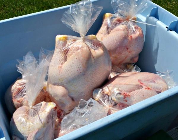 Quality Cold Fresh Meat Packaging Bags PA/PE Shrink Film PVDC Shrink Film And Bags for sale