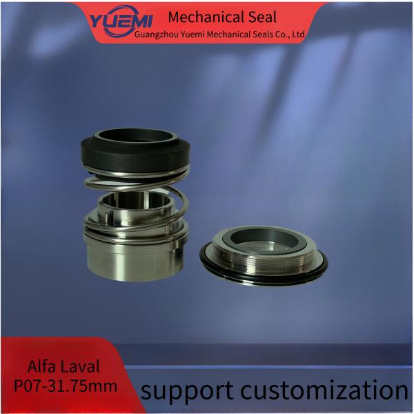 Pompa sanitaria a fine singolo AFL Sigillo meccanico P07-31.75mm sostituire AES