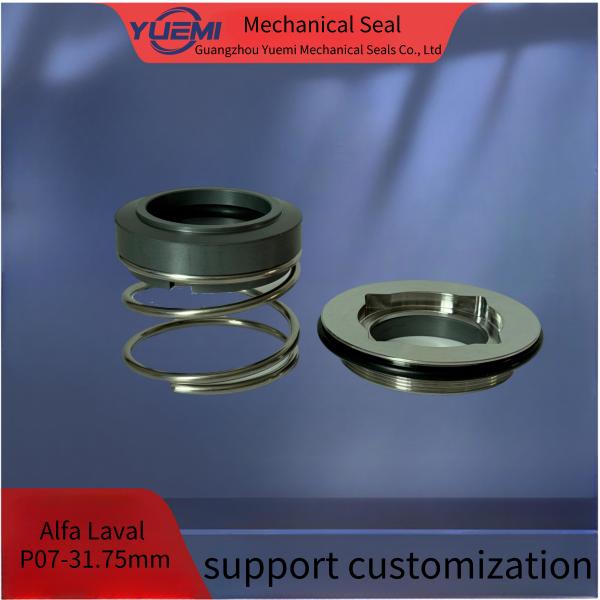 Pompa sanitaria a fine singolo AFL Sigillo meccanico P07-31.75mm sostituire AES
